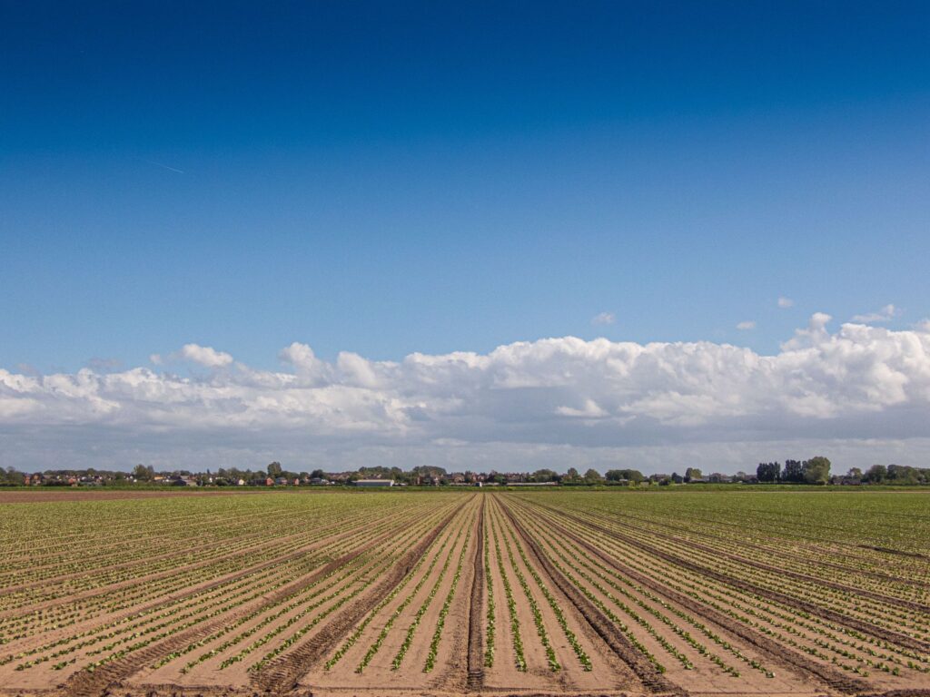 Liverpool Road, Tarleton, Preston - Property