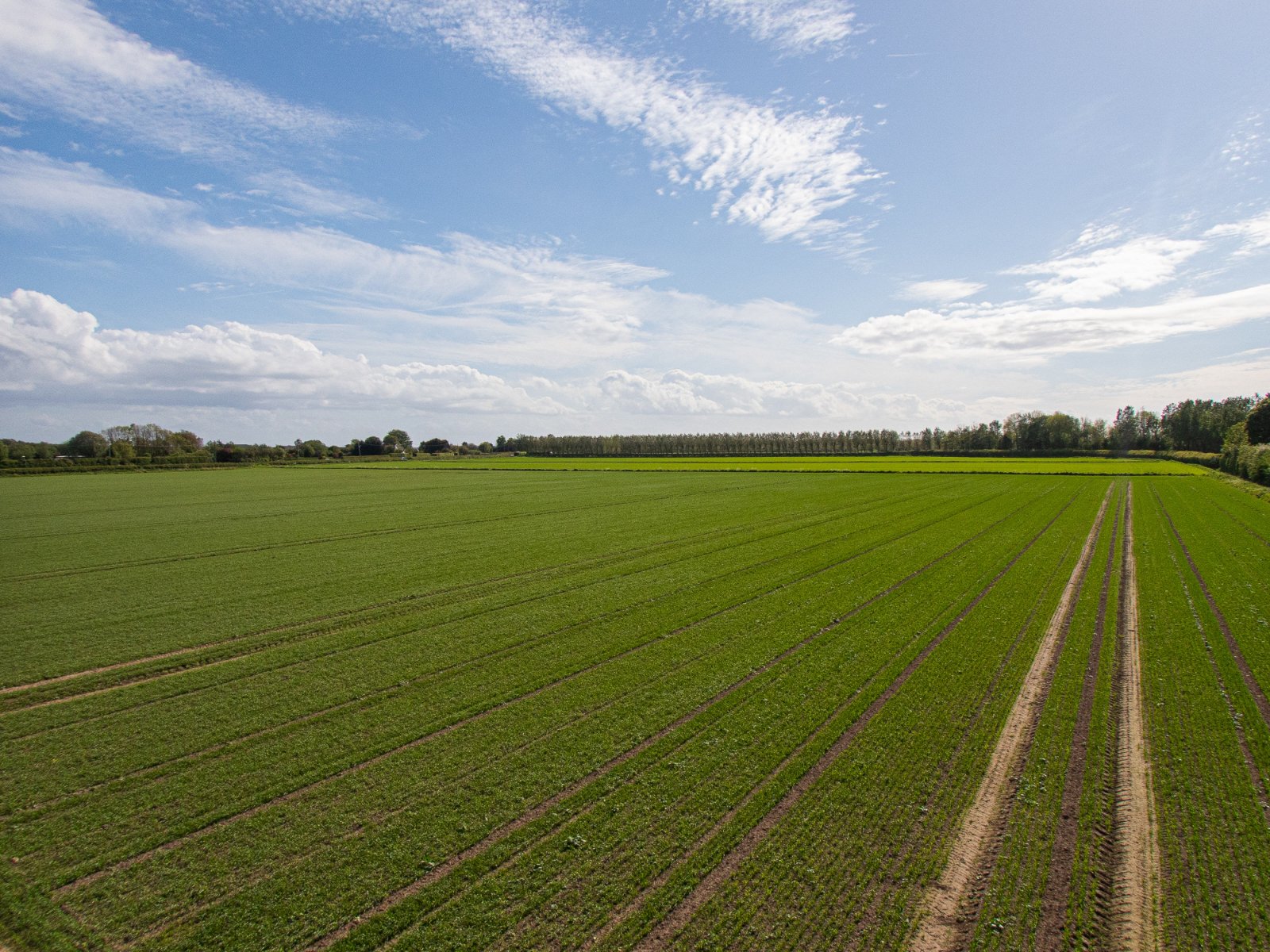 Liverpool Road, Tarleton, Preston - Property