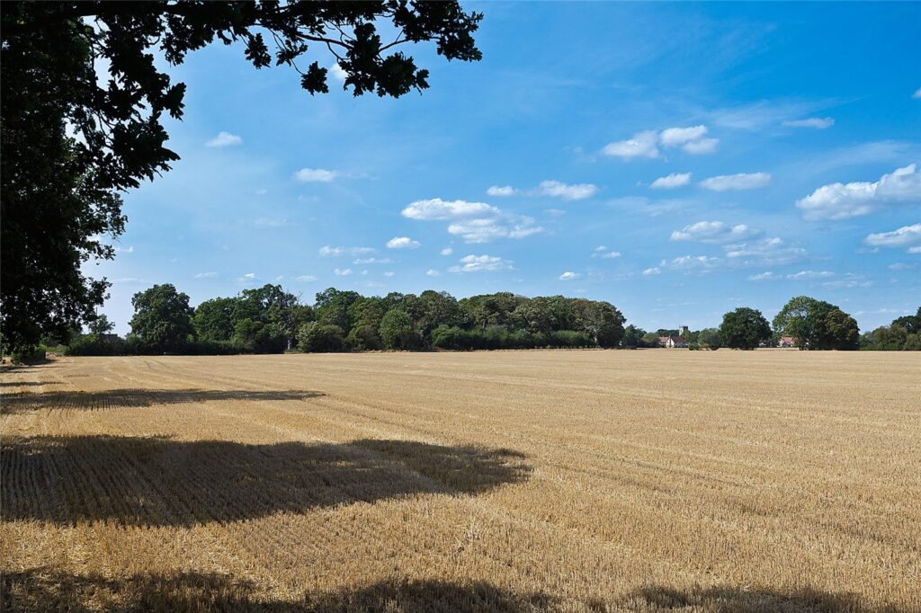 Rectory Farm, Wilby, Eye, Suffolk, IP21 5LR - Property