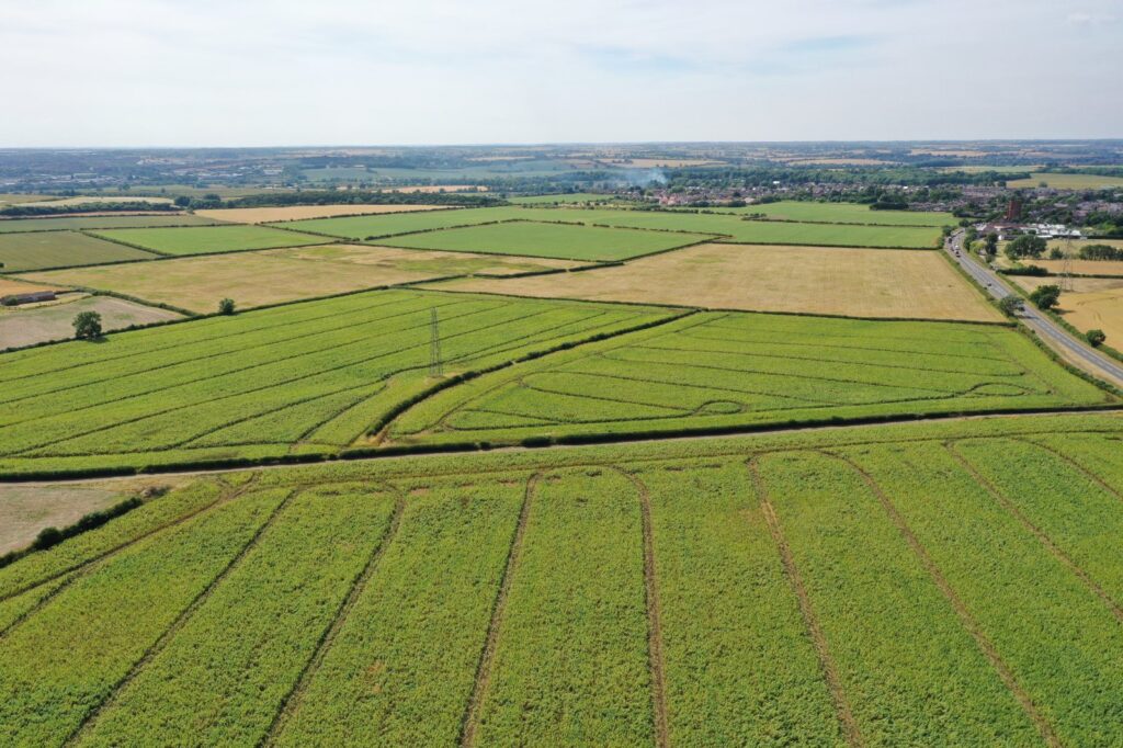 Finedon, Northamptonshire - Property