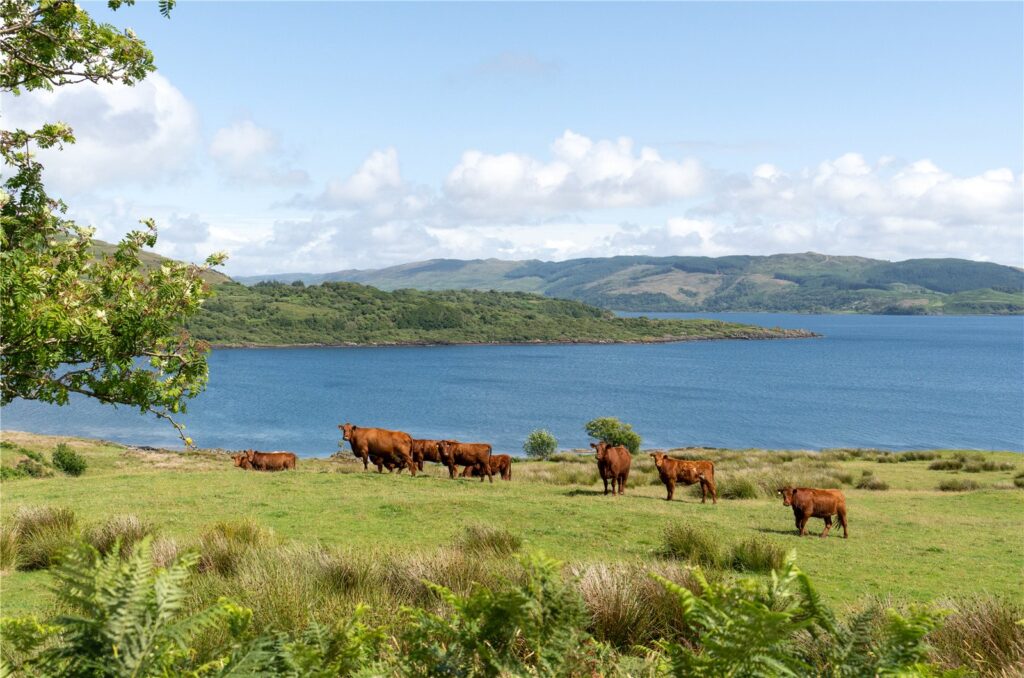 Torsa Island, Oban, Argyll, PA34 4UD - Property