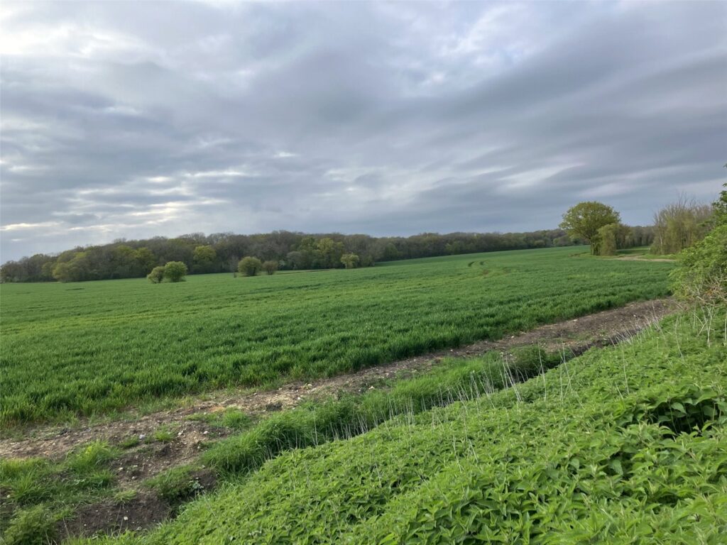 Priors Green, Stisted, Braintree, Essex, CM77 8BP - Property