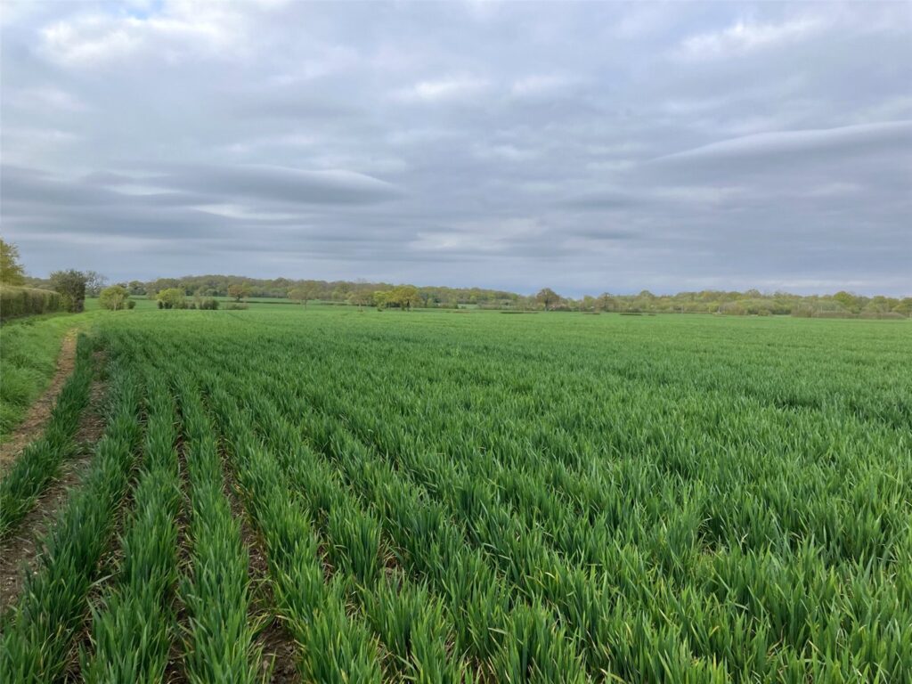 Priors Green, Stisted, Braintree, Essex, CM77 8BP - Property