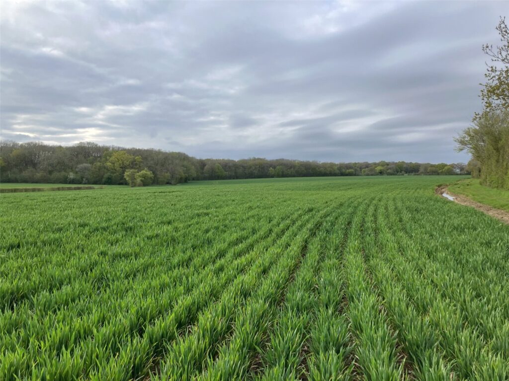 Priors Green, Stisted, Braintree, Essex, CM77 8BP - Property