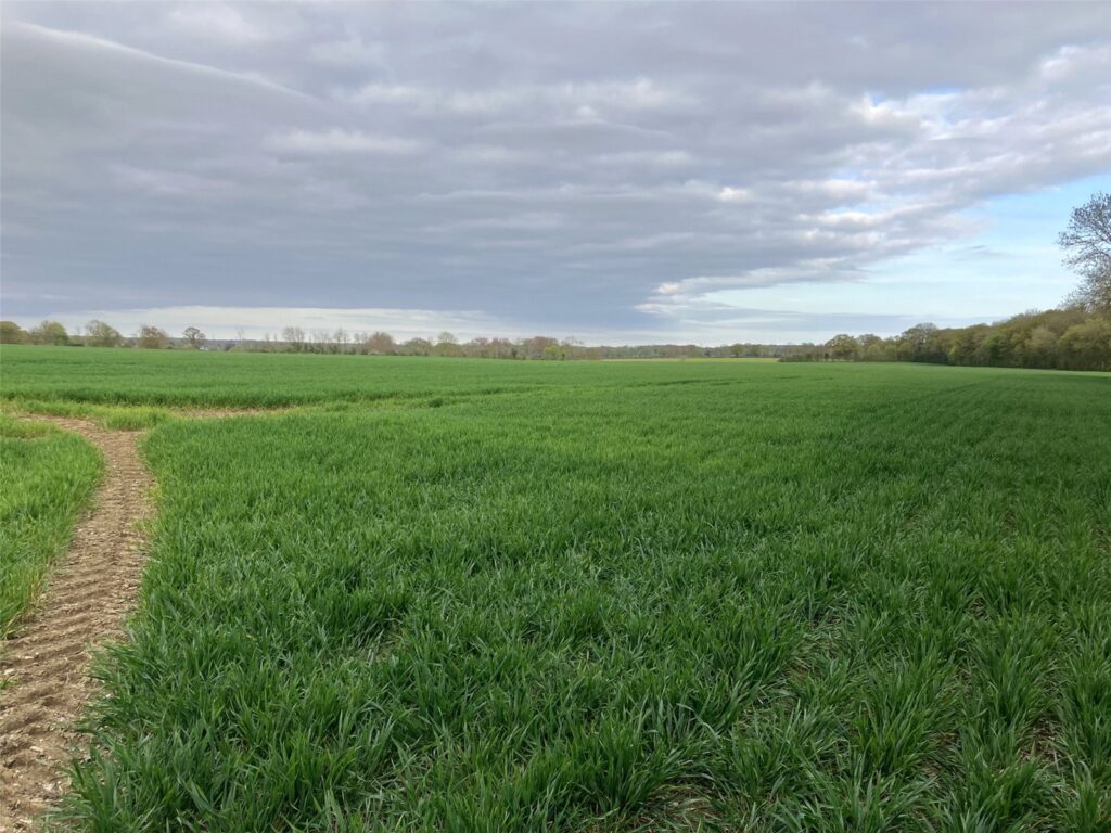 Priors Green, Stisted, Braintree, Essex, CM77 8BP - Property