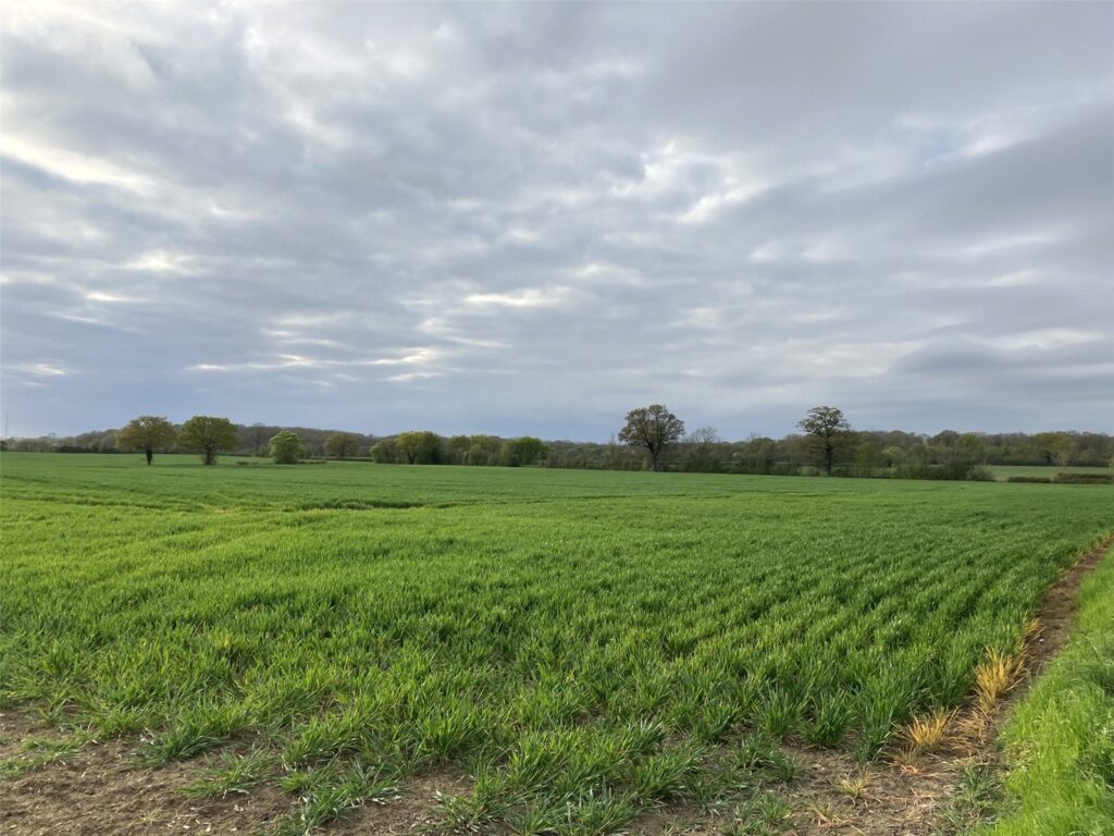 Priors Green, Stisted, Braintree, Essex, CM77 8BP - Property