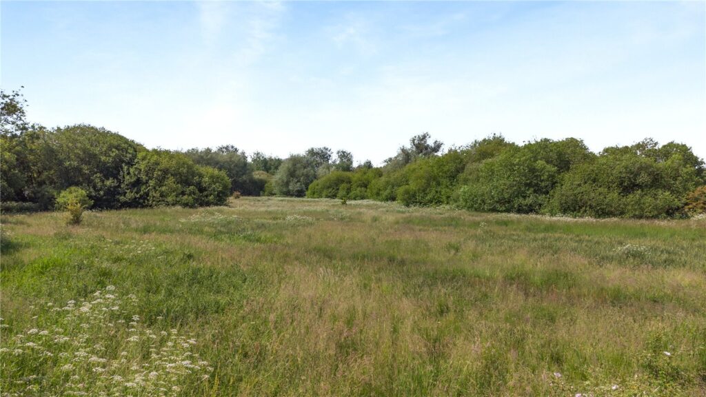 Lower Road, Salisbury, Wiltshire, SP2 9NG - Property