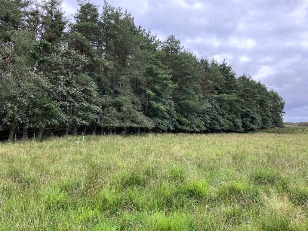 Land At Girsonfield, Otterburn, Newcastle upon Tyne, Northumberland ...