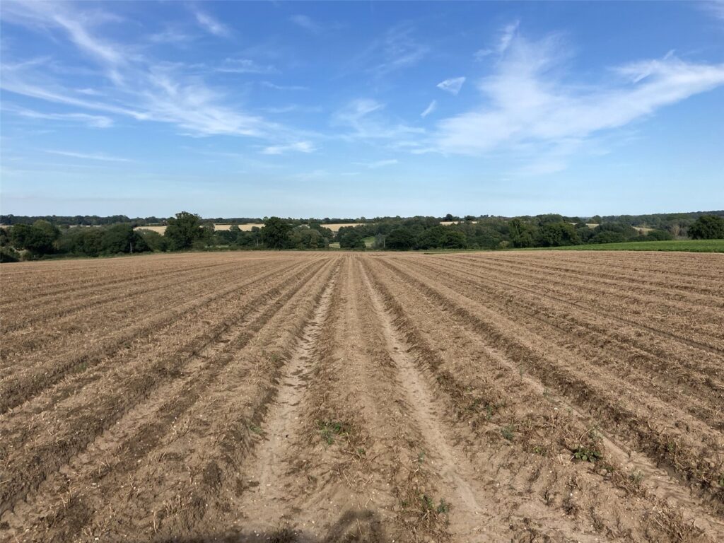 Main Road, Tuddenham, Ipswich, Suffolk, IP6 9BZ - Property