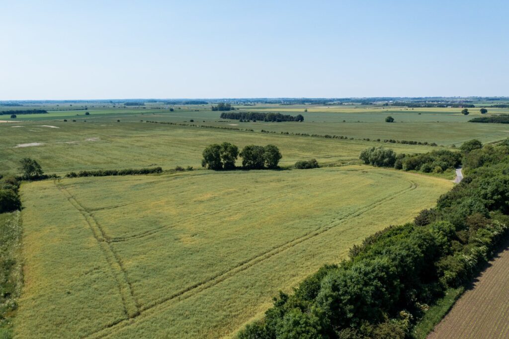 Cadney, Brigg - Property