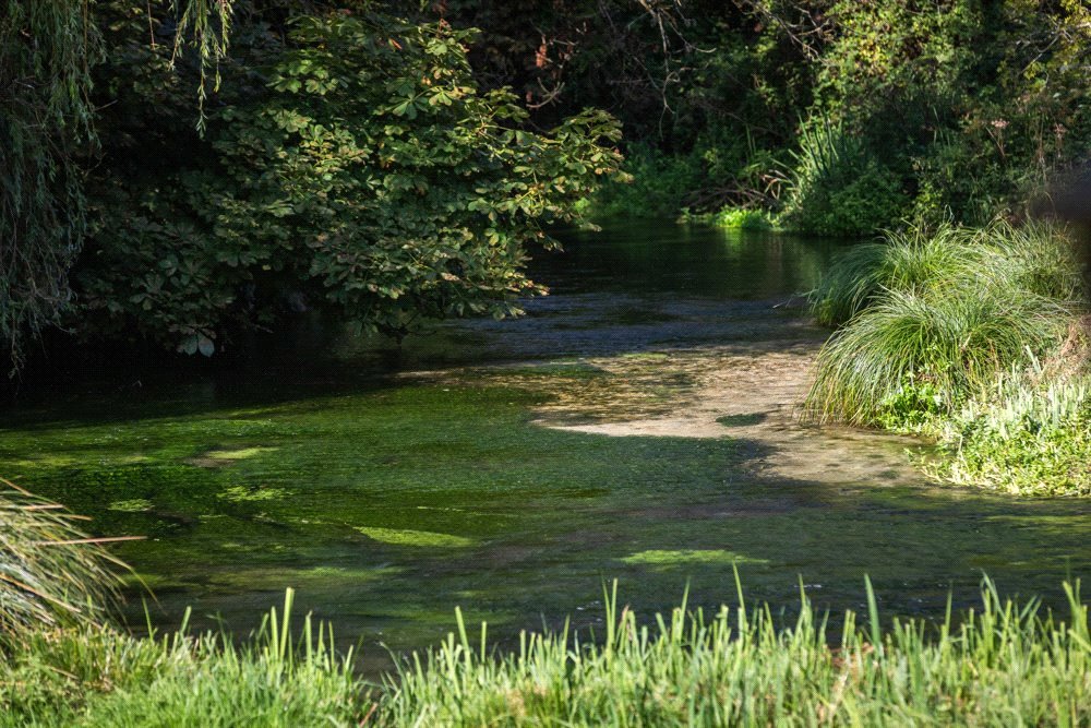 Easton Lane, Easton, Winchester, Hampshire, SO21 1DG - Property