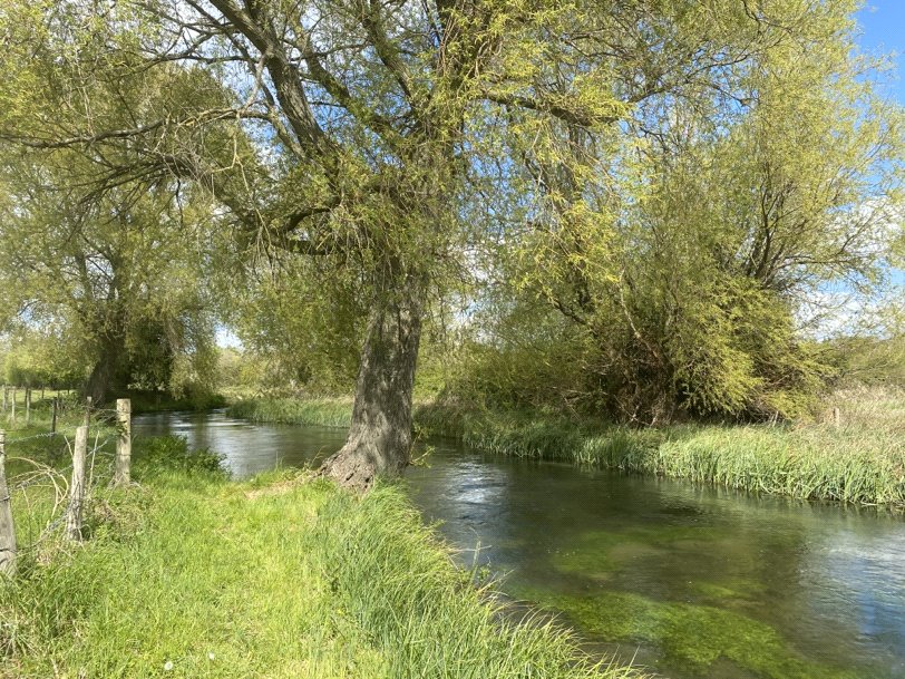 Bishopstoke, Nr Winchester, Hampshire, SO50 6RQ - Property