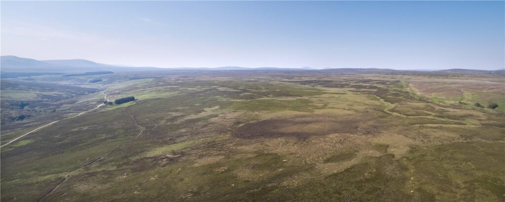 Balnacoil Estate, Brora, Sutherland, KW9 6LX - Property