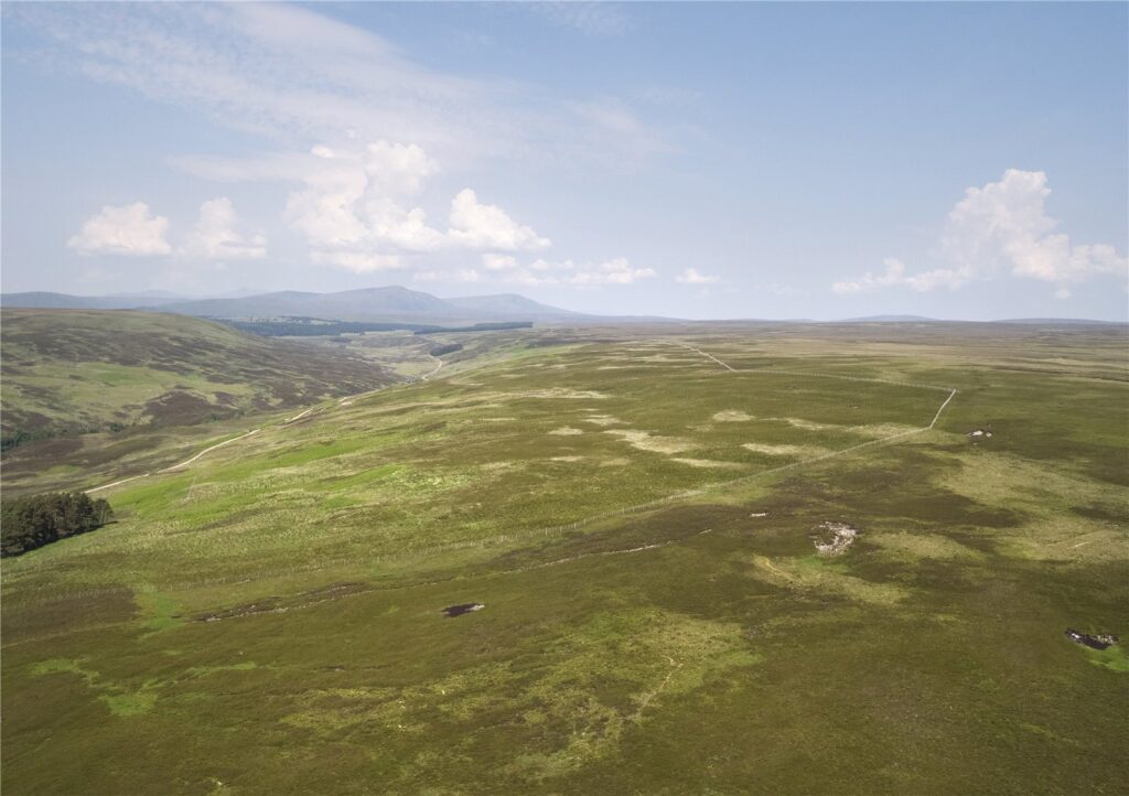 Balnacoil Estate, Brora, Sutherland, KW9 6LX - Property