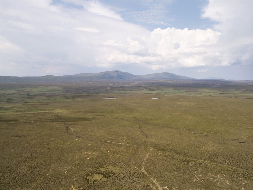 Balnacoil Estate, Brora, Sutherland, KW9 6LX - Property