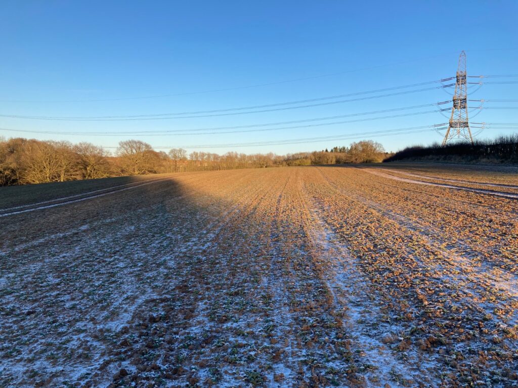 Low Worsall, Yarm, Cleveland - Property