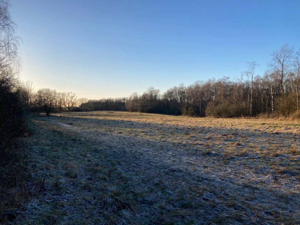 Low Worsall, Yarm, Cleveland - Property