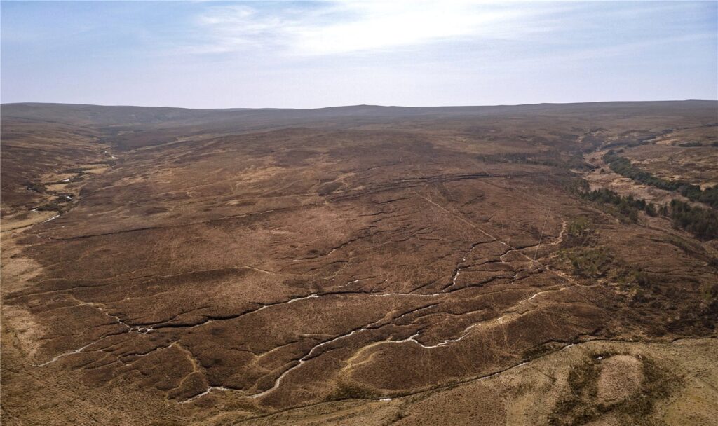 Sandside Hill, Reay, Thurso, Caithness, KW14 7RN - Property