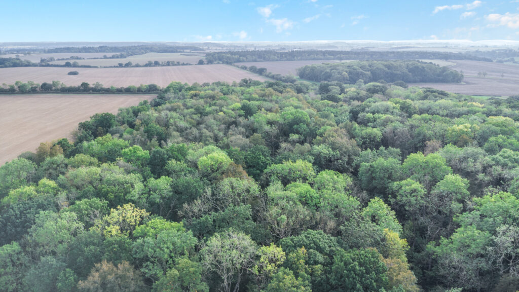 Great Humby, Grantham, Lincolnshire, NG33 4HR - Property