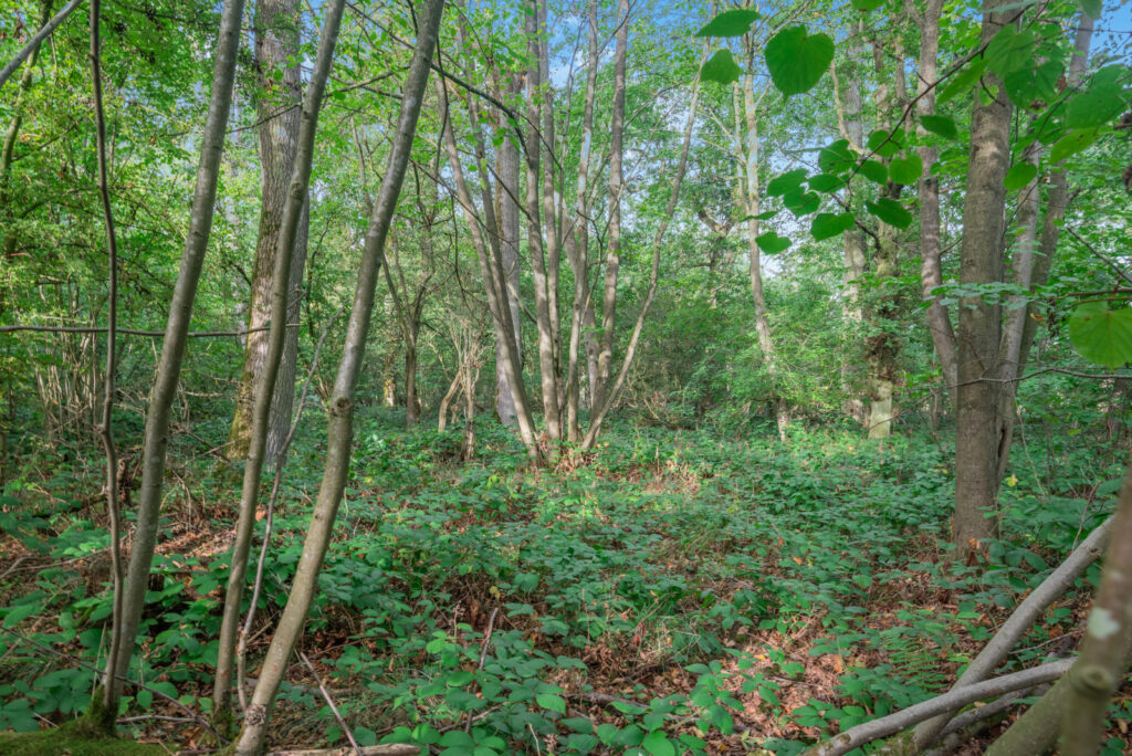 Great Humby, Grantham, Lincolnshire, NG33 4HR - Property