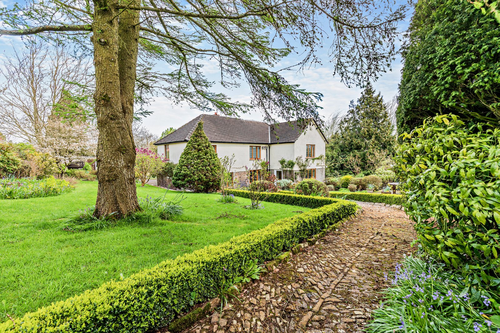 Copplestone, Crediton, Devon - Property