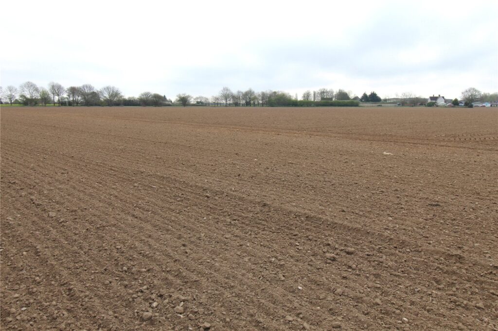 The Street, Catfield, NR29 5BG - Property