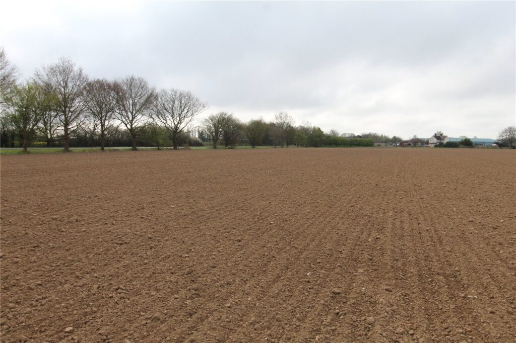 The Street, Catfield, NR29 5BG - Property