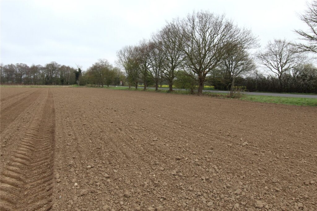 The Street, Catfield, NR29 5BG - Property