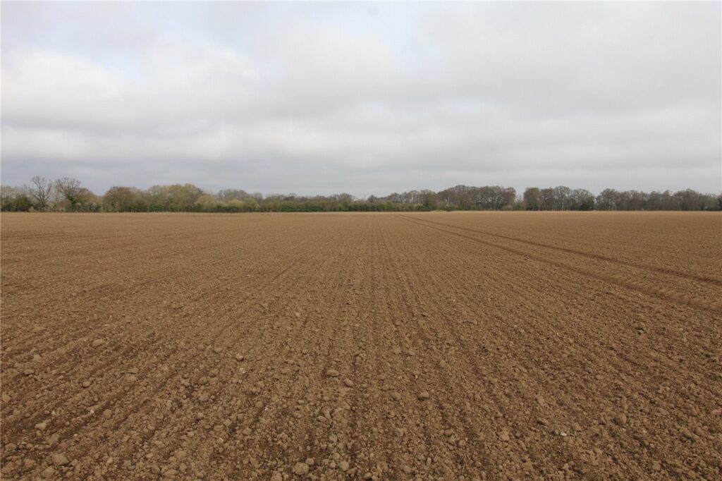 The Street, Catfield, NR29 5BG - Property