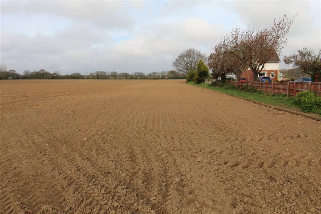 The Street, Catfield, NR29 5BG - Property