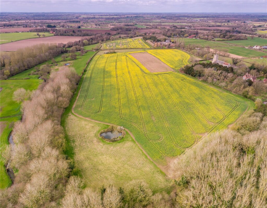 Mattishall Lane, North Tuddenham, Dereham, Norfolk, NR20 3NJ - Property