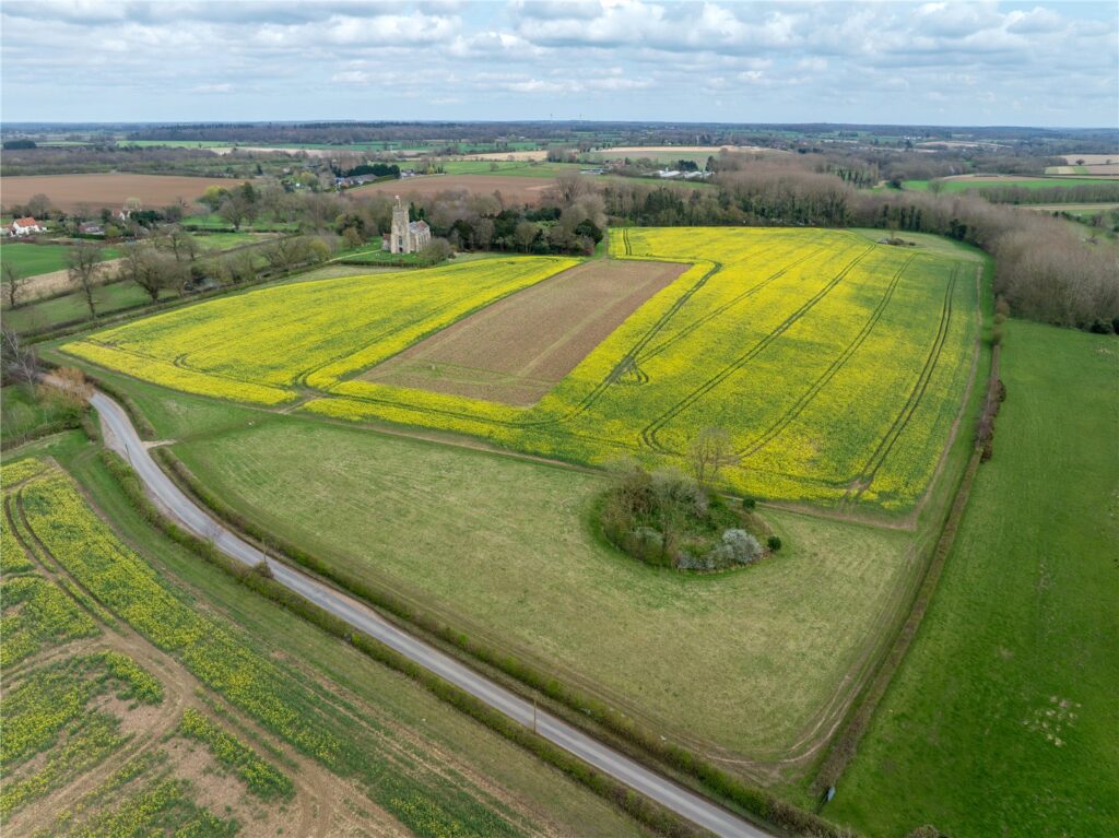 Mattishall Lane, North Tuddenham, Dereham, Norfolk, NR20 3NJ - Property