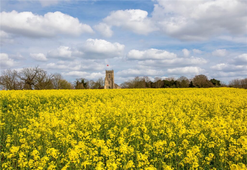 Mattishall Lane, North Tuddenham, Dereham, Norfolk, NR20 3NJ - Property