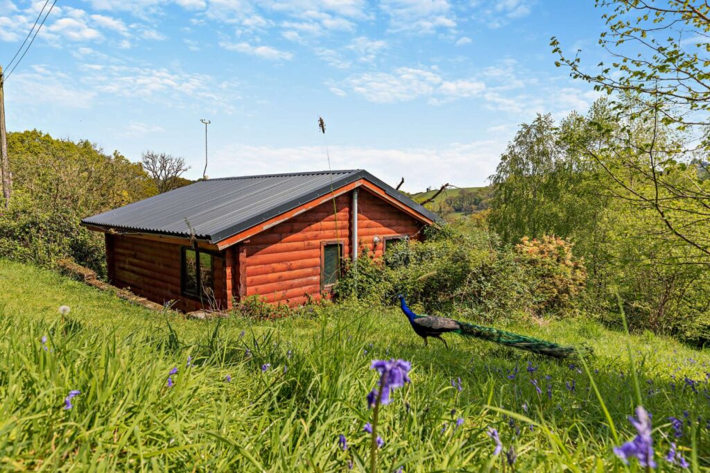 Lapford, Crediton, Devon - Property