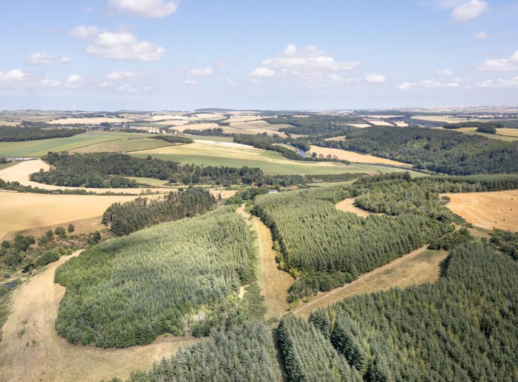 Turriff, Aberdeenshire, AB53 - Property