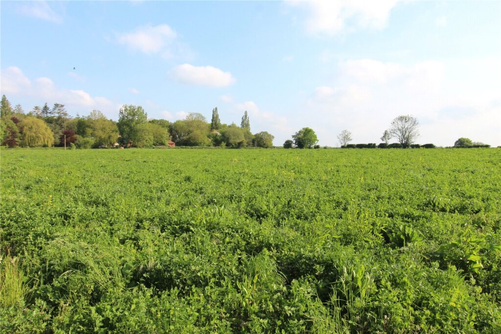 Reeder's Lane, Alpington, Norwich, Norfolk, NR14 7NE - Property