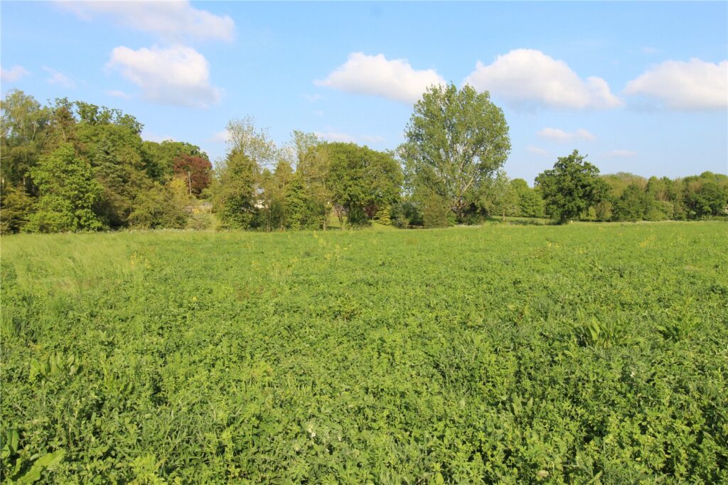Reeder's Lane, Alpington, Norwich, Norfolk, NR14 7NE - Property