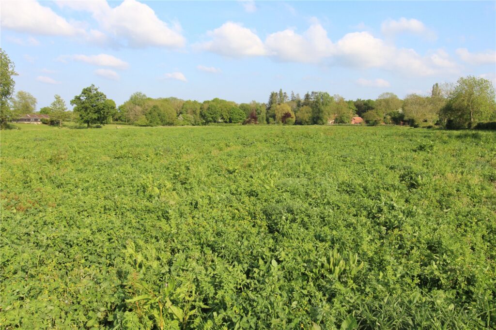 Reeder's Lane, Alpington, Norwich, Norfolk, NR14 7NE - Property