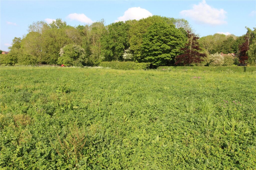 Reeder's Lane, Alpington, Norwich, Norfolk, NR14 7NE - Property