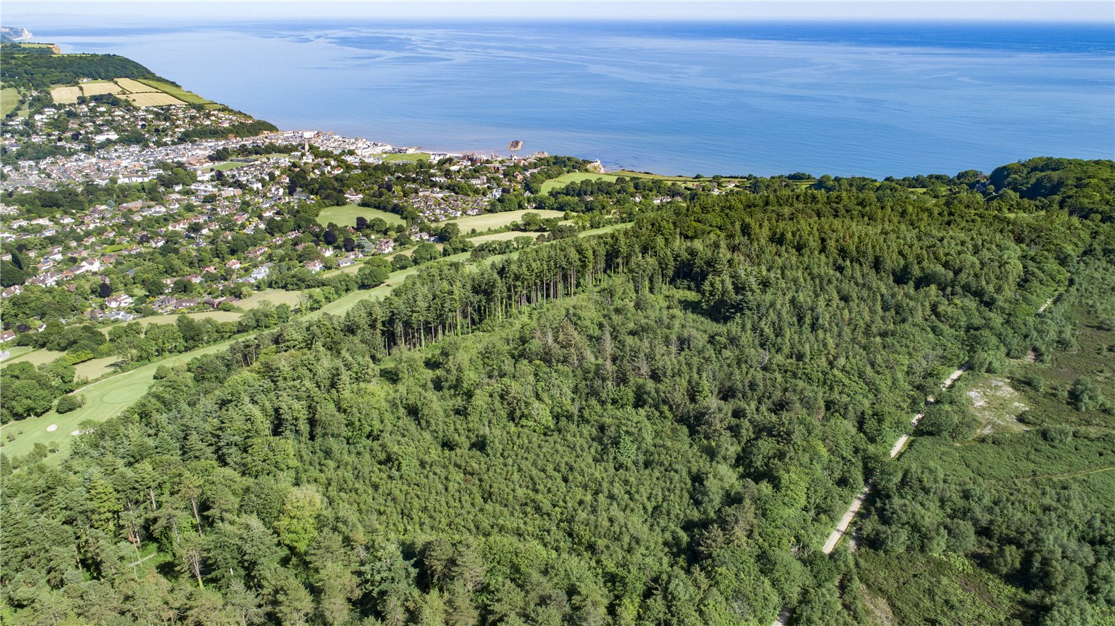 Woodlands At Peak Hill, Sidmouth, Devon, EX10 0LY - Property