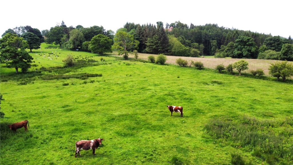 Land At Castleton, Castleton, Whitby, North Yorkshire, YO21 2EJ - Property