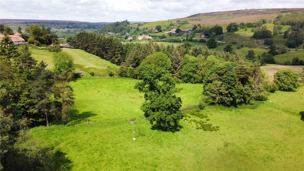 Land At Castleton, Castleton, Whitby, North Yorkshire, YO21 2EJ - Property