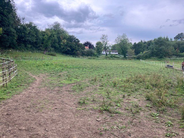 Land and Stables At Linton, Main Street, Linton, Wetherby, LS22 4HT ...