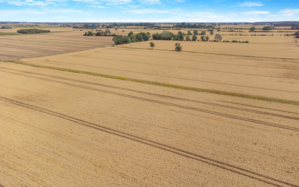 Newborough Estate - Lot 4, Thorney Road, Peterborough, PE6 0AD - Property