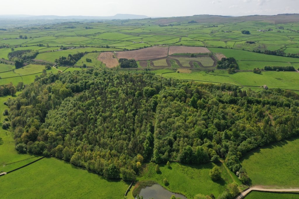 Lawkland, Austwick, North Yorkshire - Property