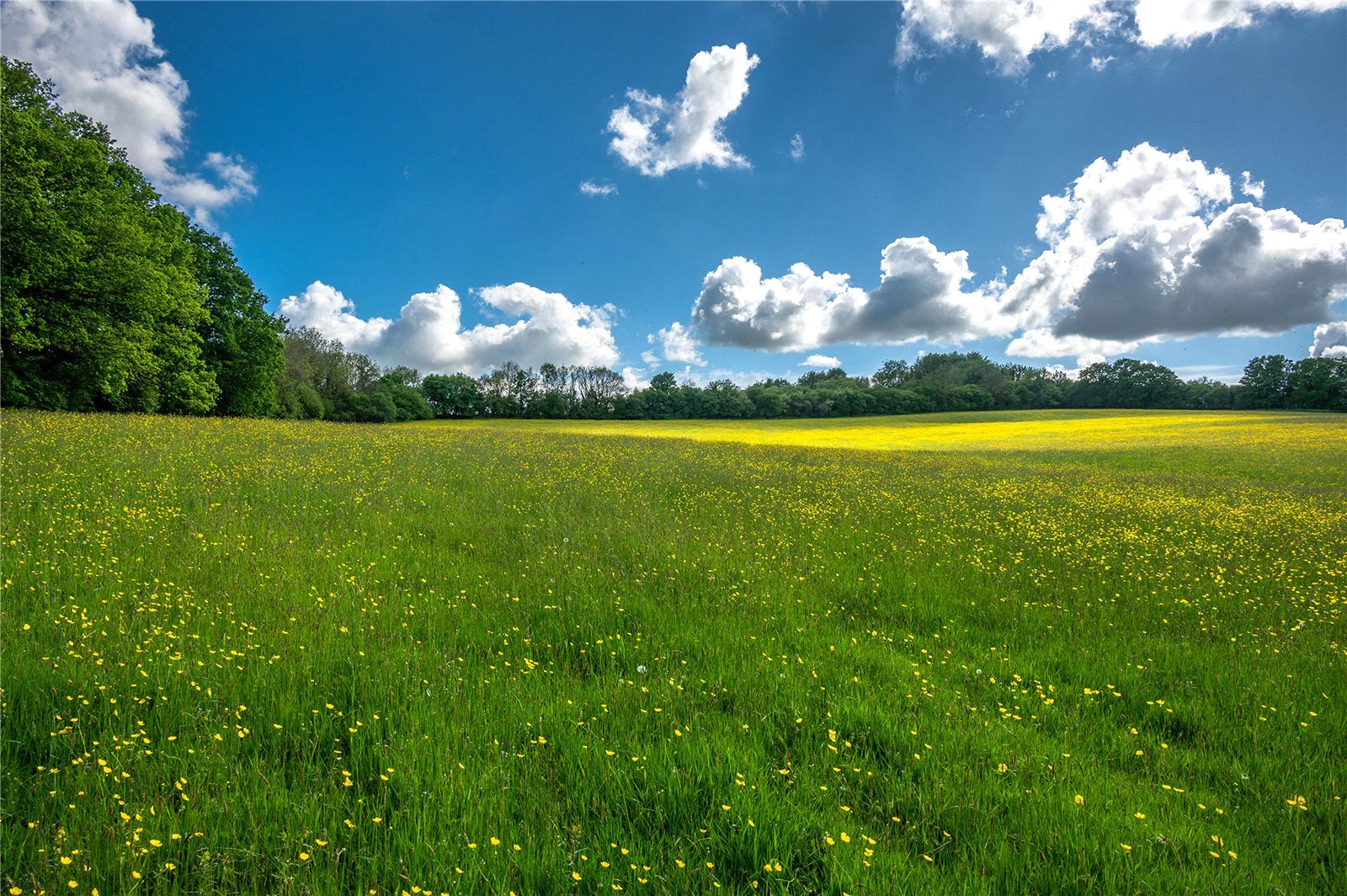 Craven Road, Inkpen, Hungerford, Berkshire, RG17 9DY - Property