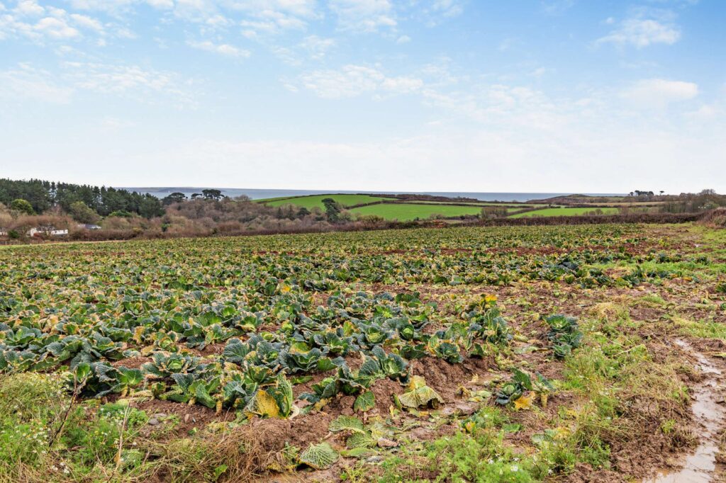 Gillan, Manaccan, Helston, Cornwall - Property