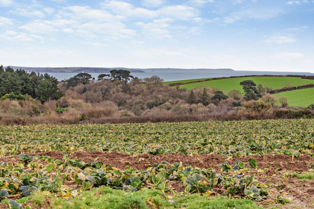 Gillan, Manaccan, Helston, Cornwall - Property