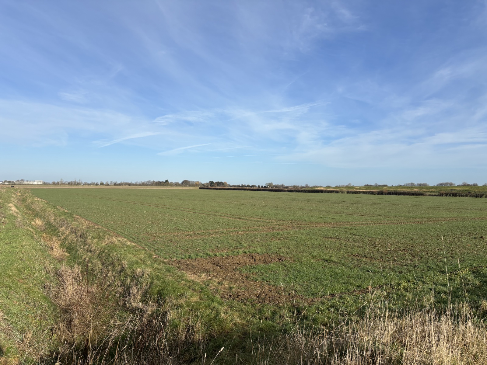 Land At Eye, Eyebury Road, Eye, Peterborough, PE6 7TH - Property
