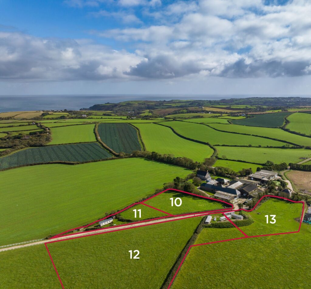 Gillan, Manaccan, Helston, Cornwall - Property